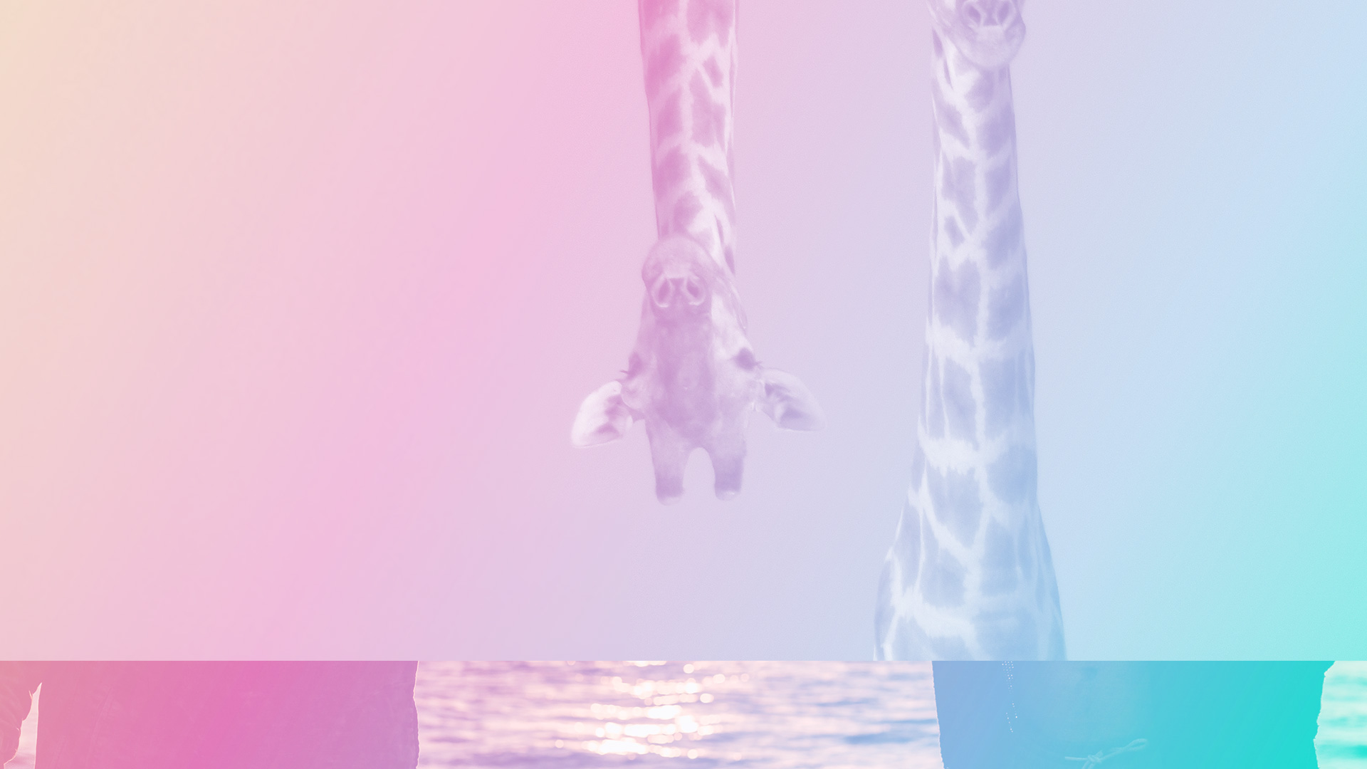 Stretch Qonnect AB - Stretch